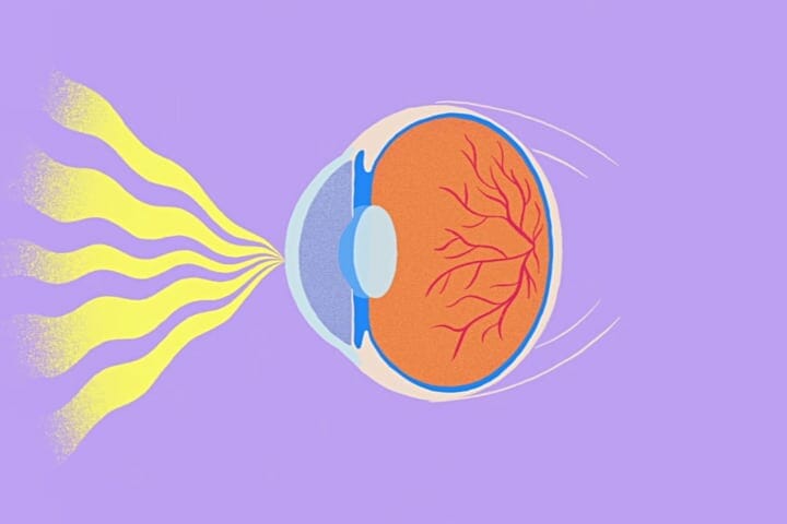 視力が一番いい動物は？（TED-Ed: Thomas W. Cronin） – Nobuyuki Kokai